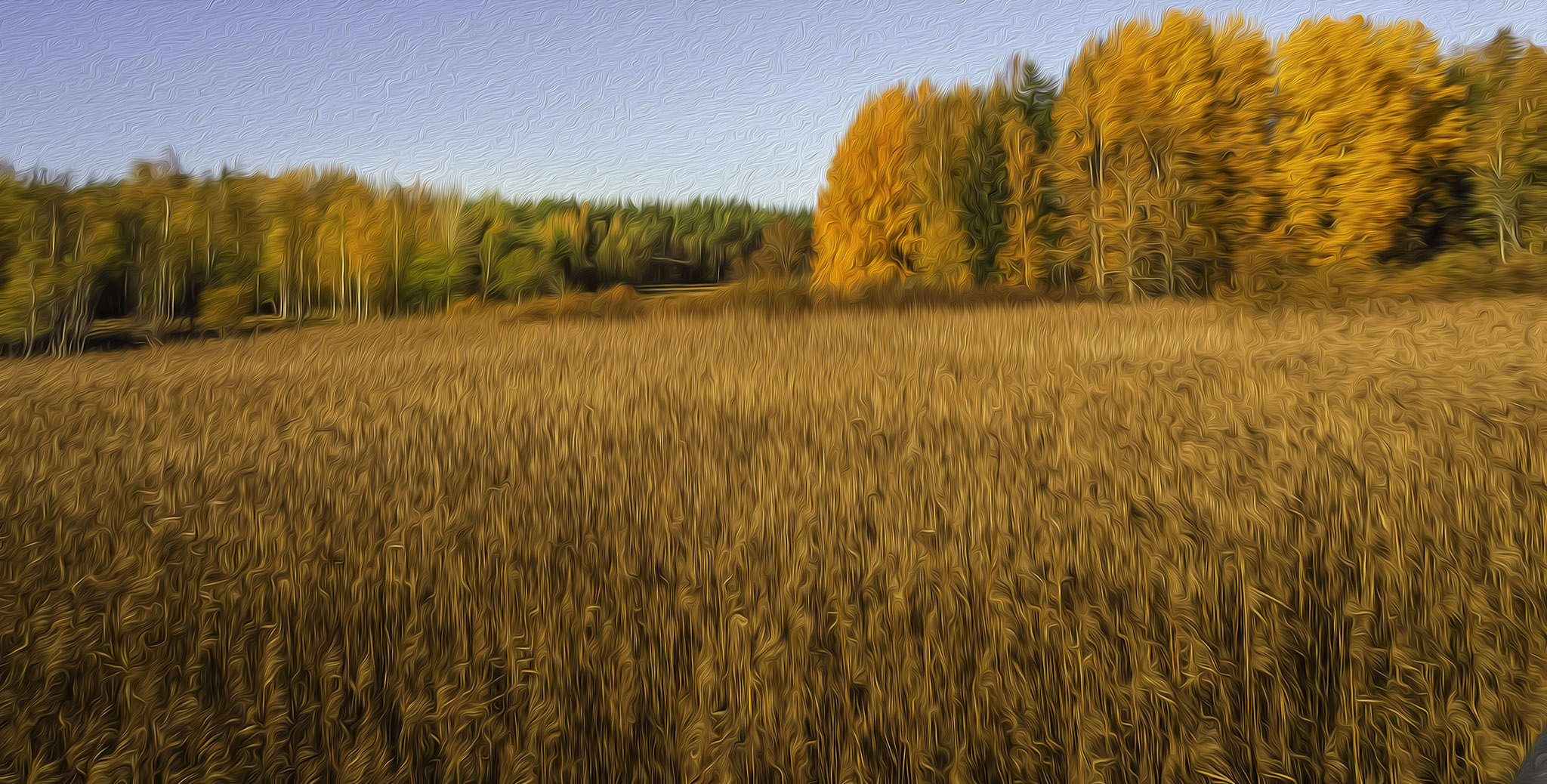 Traditional reeds in Autumn – ART BY RITVA